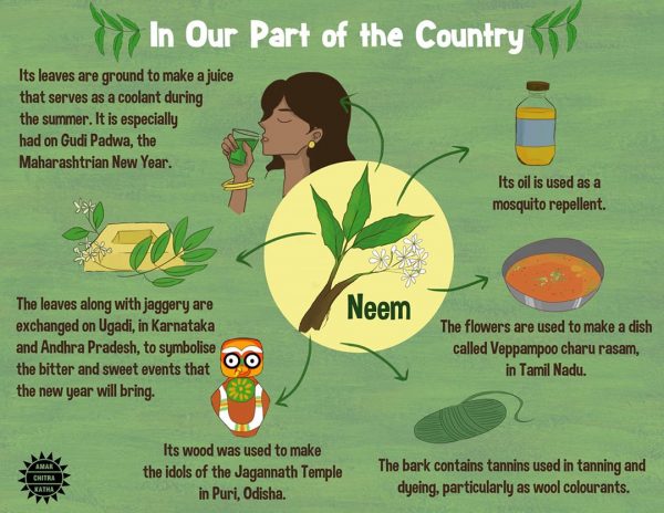 The Many Benefits of Neem - Amar Chitra Katha