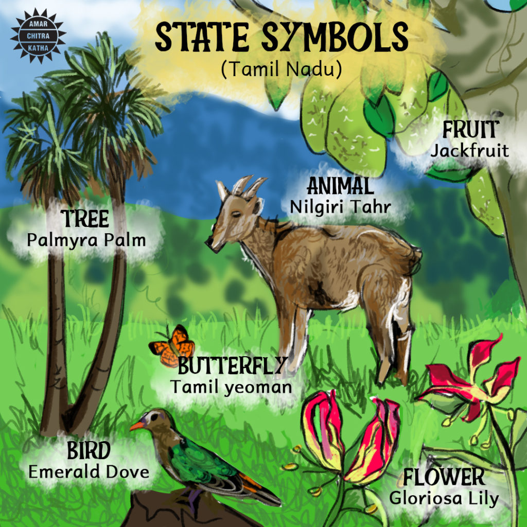 history | Amar Chitra Katha