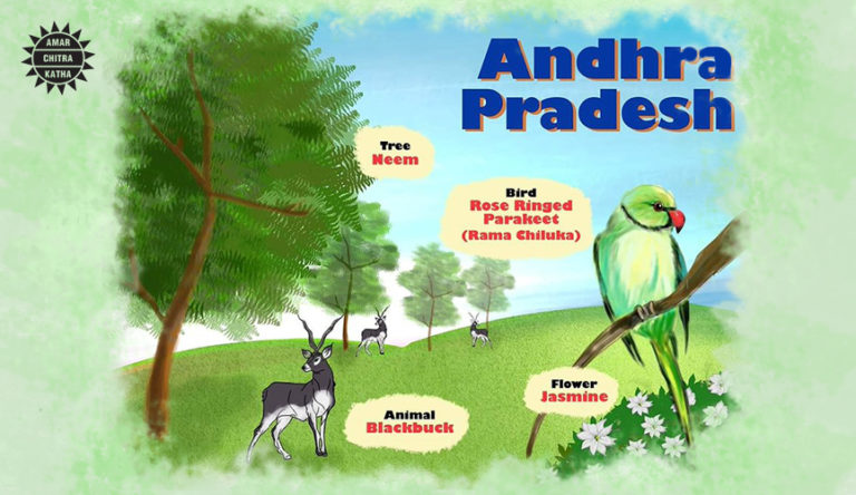 Short History of Andhra Pradesh in Mahabharata | Amar Chitra Katha
