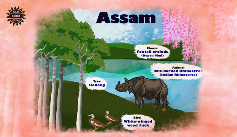 Story of Assam | Tales of History & Culture | Amar Chitra Katha