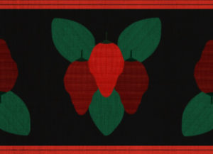 Raja Mircha : The Fiery King of Chillies | Amar Chitra Katha